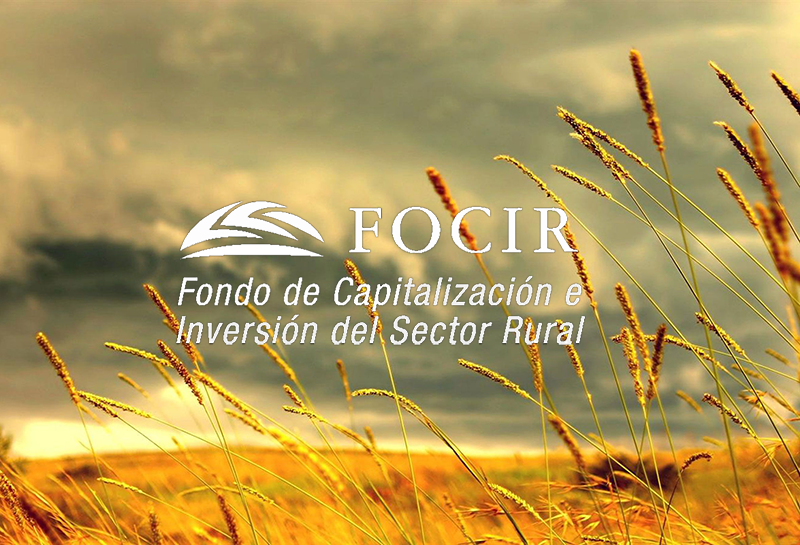 Mexico Government Commits US$4m in 3 Local Agtech Funds - LAVCA